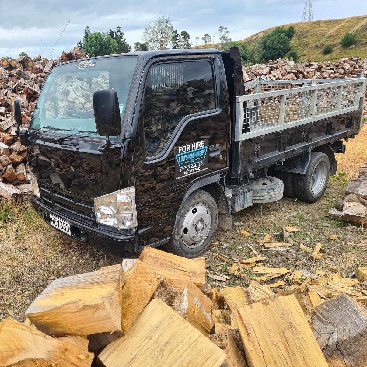Isuzu Elf Caged Tipper Truck - Automatic – Lou's Machinery Ltd